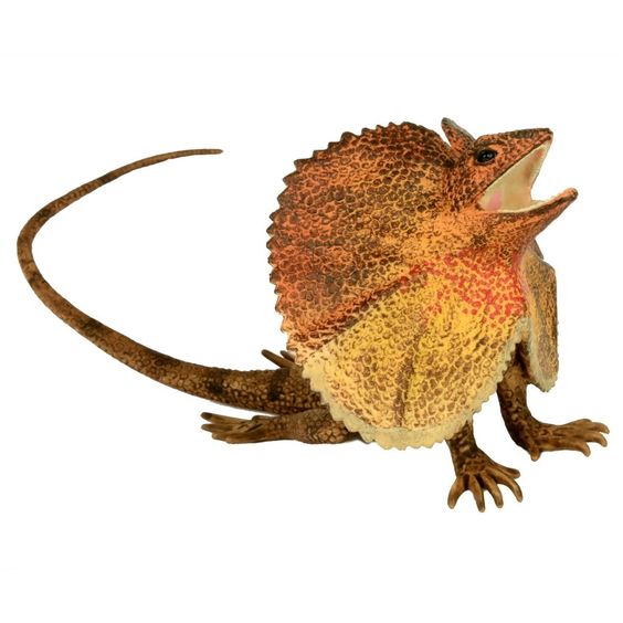 Animals Of Australia Large Frilled Lizard - Warrnambool Toys and Baby