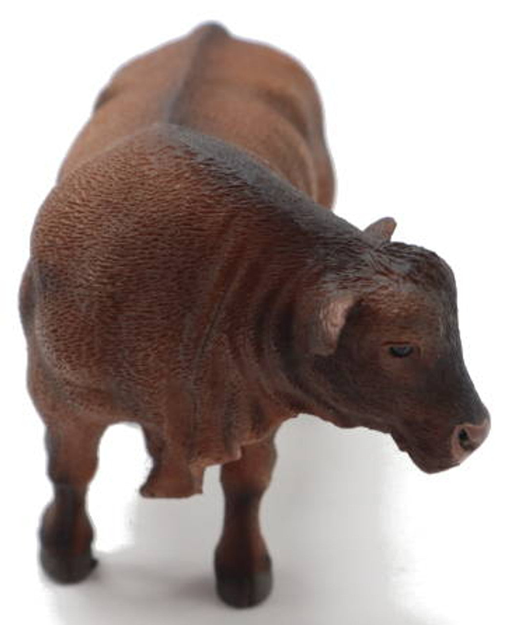 Co88508 Red Angus Bull - Warrnambool Toys and Baby